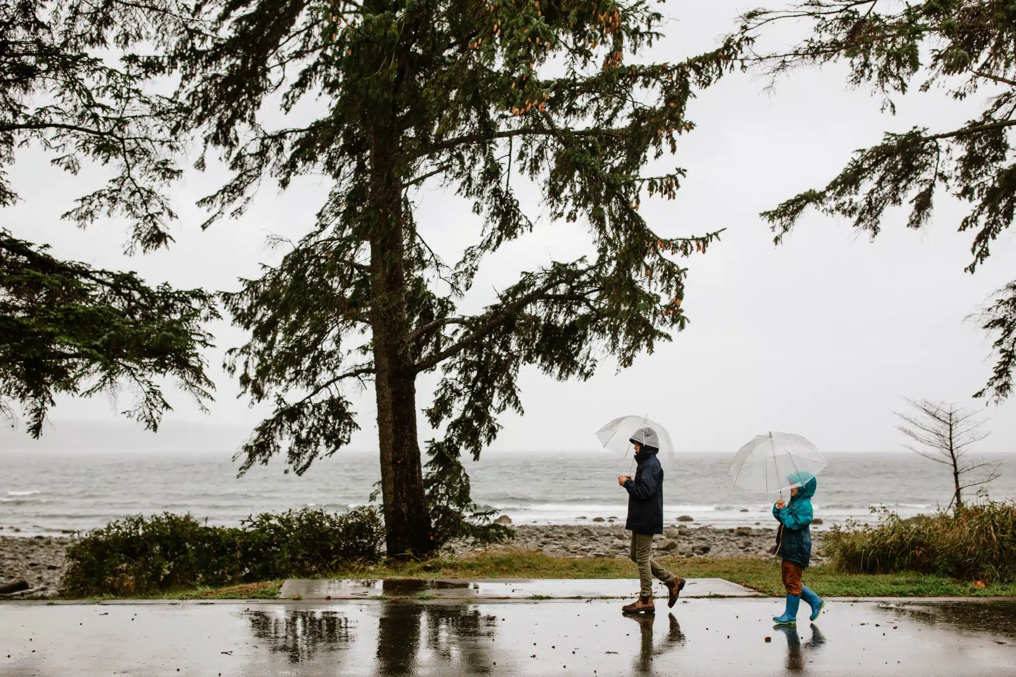 How To Enjoy a Rainy Day in Campbell River | Destination Campbell River